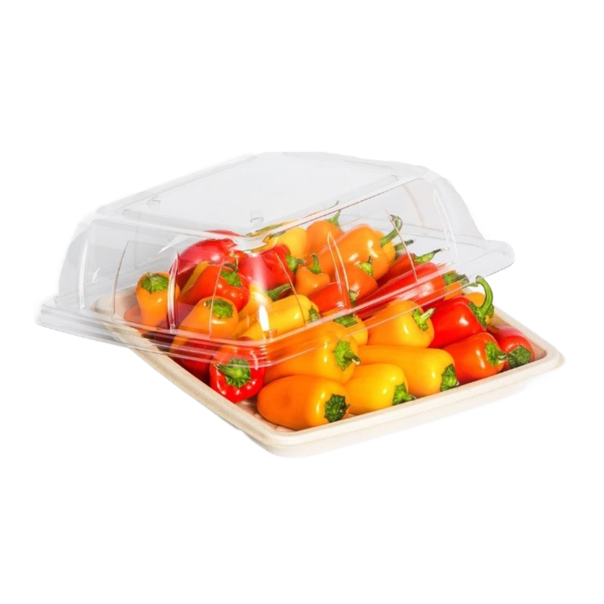 Small Square Pulp Platter Lid – Buffet Packaging